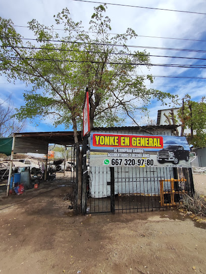 Yonke En General en Culiacán